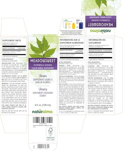 meadowsweet flower health benefits