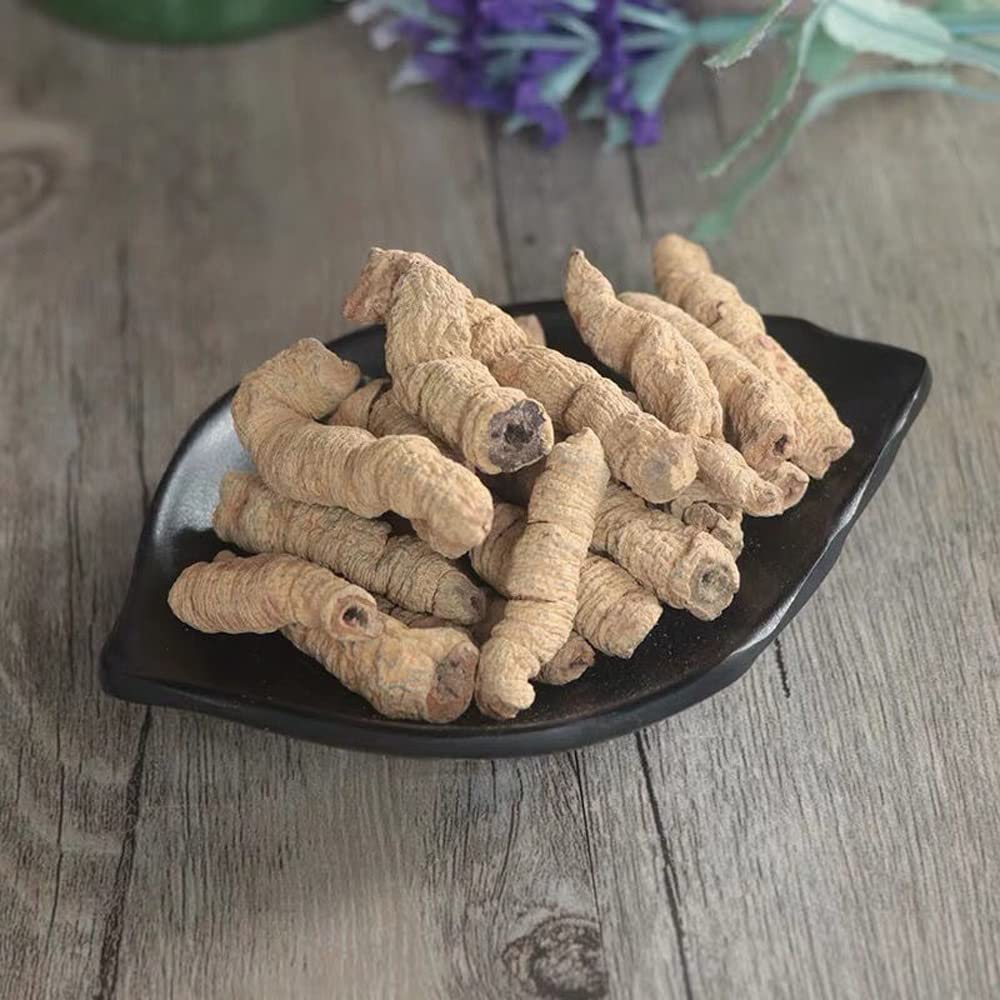 Medicinal Indian mulberry benefits