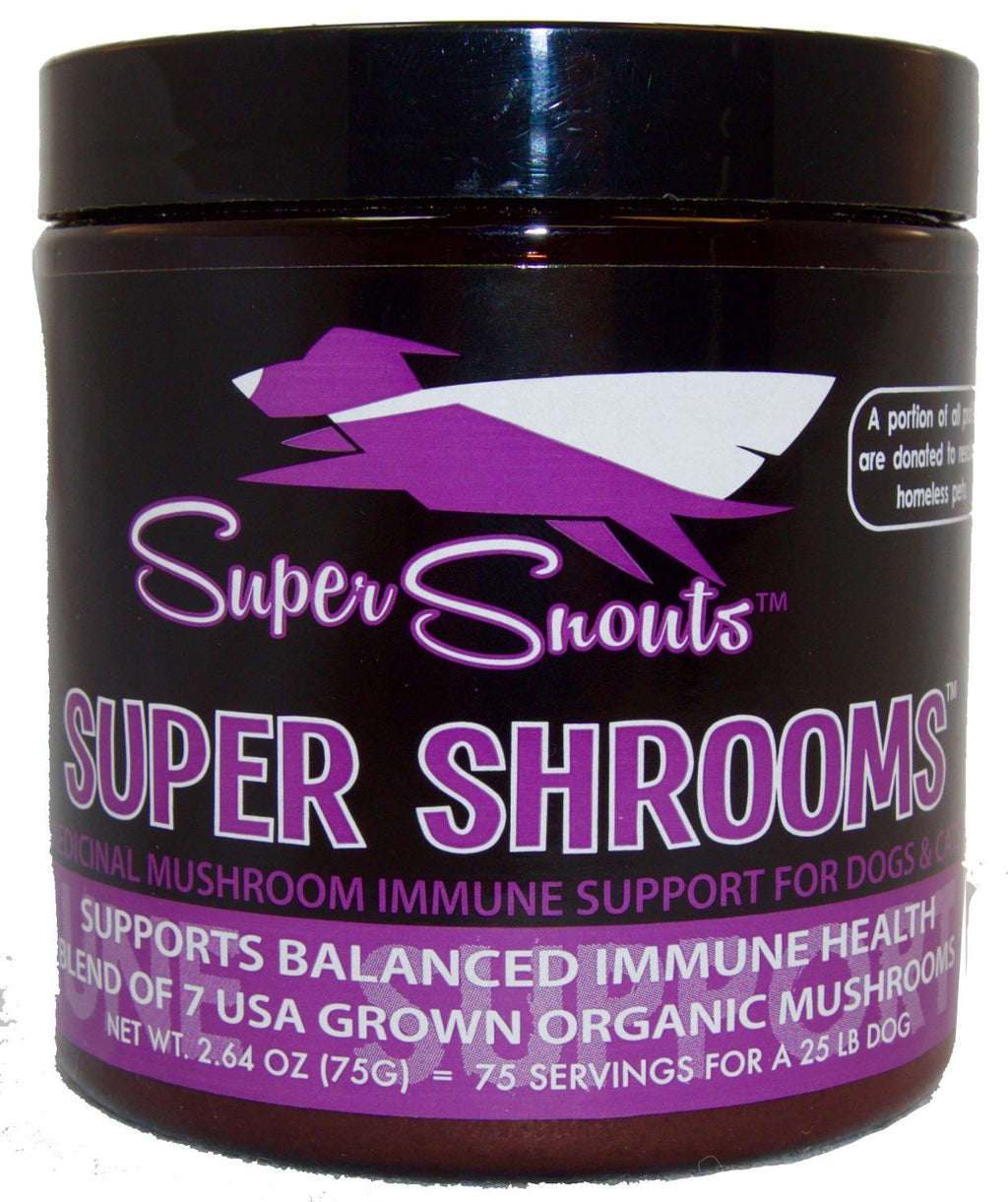 medicinal mushrooms for natural healing