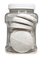 medium-large calcium shells jar