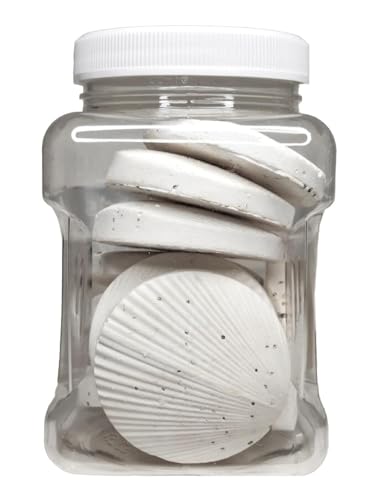 medium-large shells for crabs