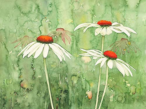 medium size echinacea print for wellness