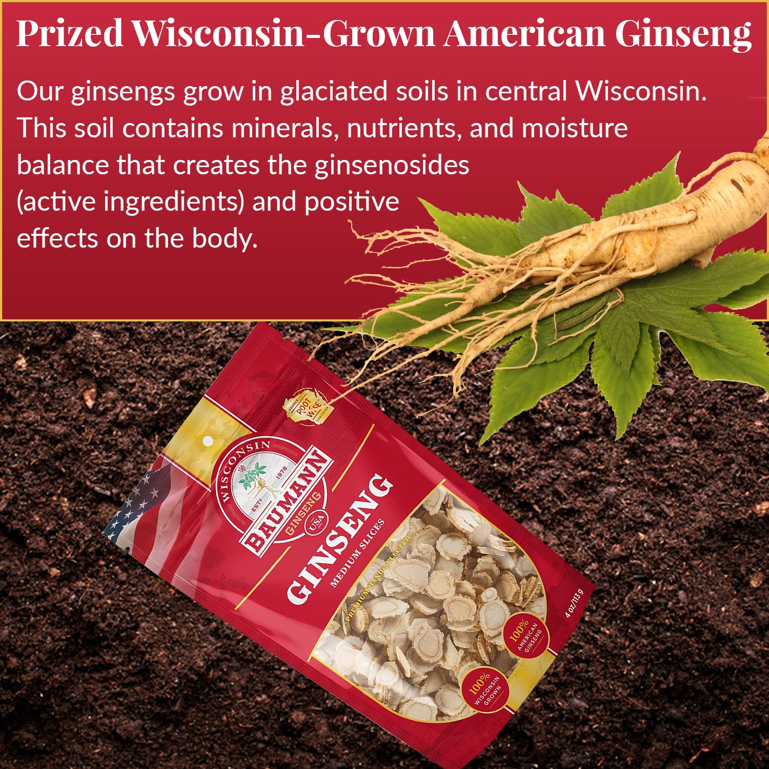medium sliced ginseng for herbal tea