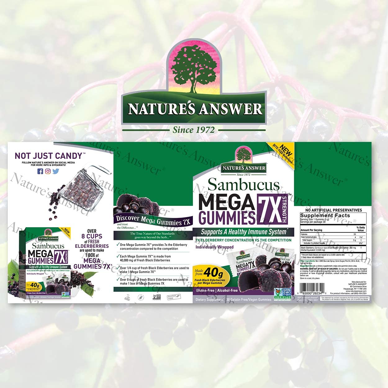 mega gummies with elderberry extract