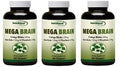 MegaBrain ginkgo biloba for memory