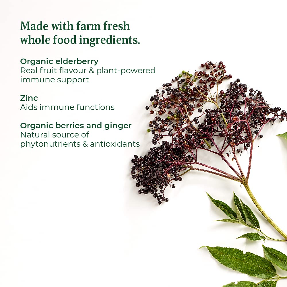 Megafood elderberry for seasonal wellness