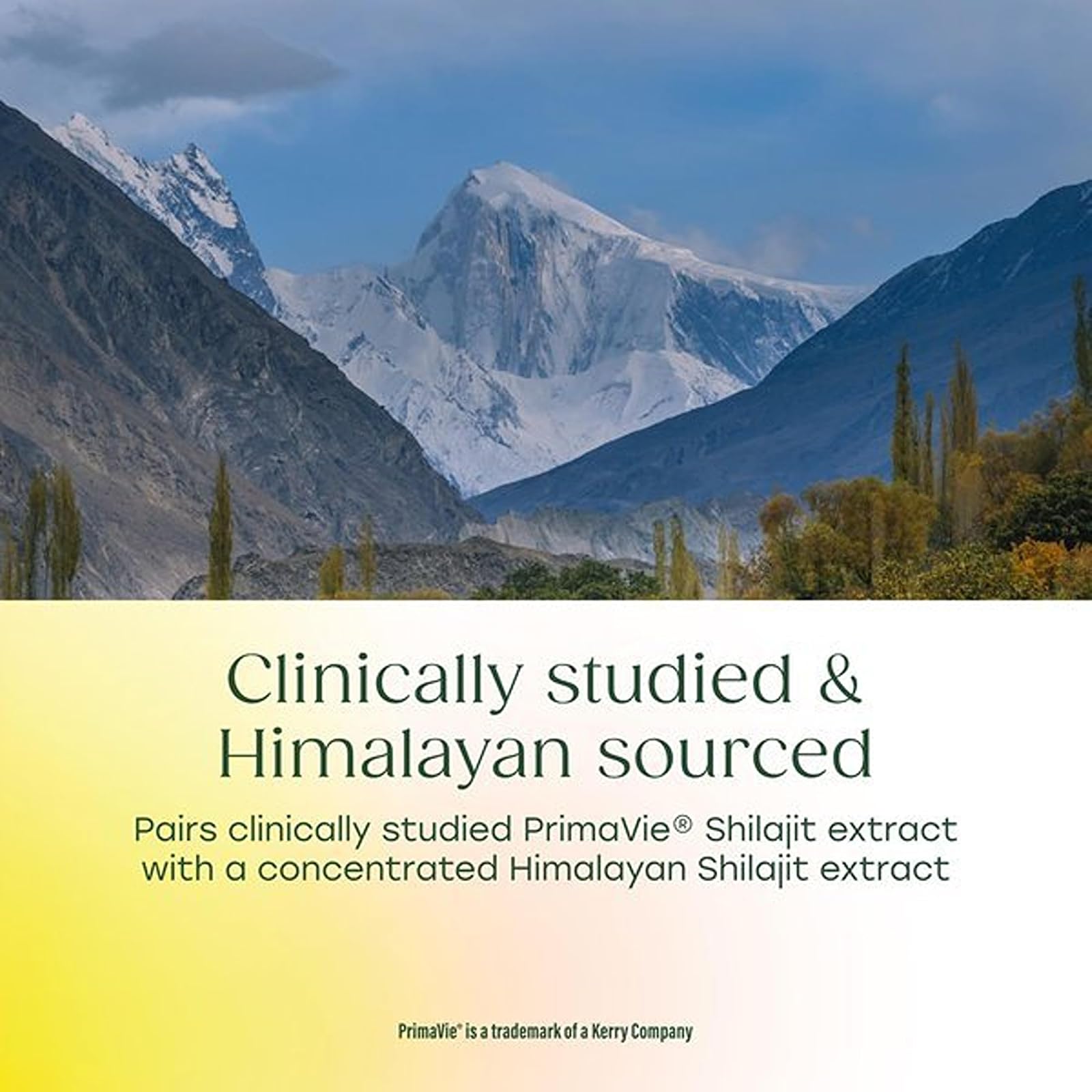 MegaFood herbal shilajit for wellness