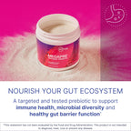 MegaPre prebiotic powder for digestion