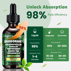 MEGNETA chlorophyll for digestive health