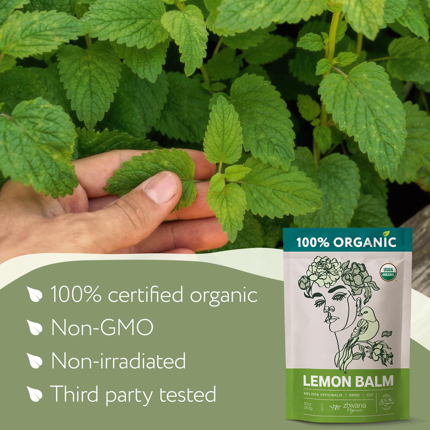 Melissa lemon balm loose leaf