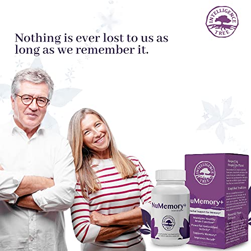 memory and concentration support blend