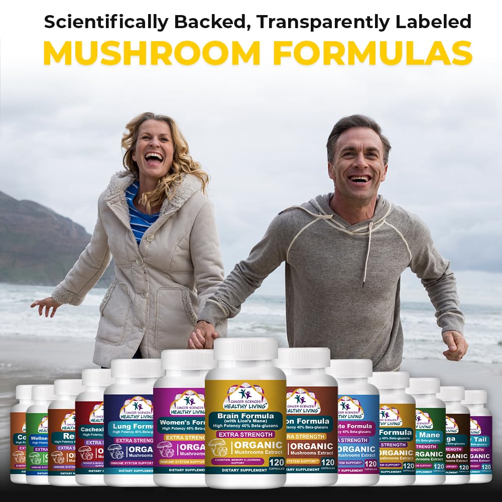 memory and focus mushroom blend