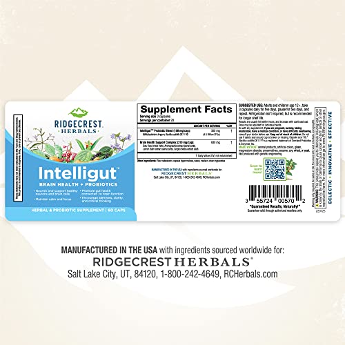 memory and focus vegan supplement