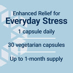 Memory and recall supplement benefits