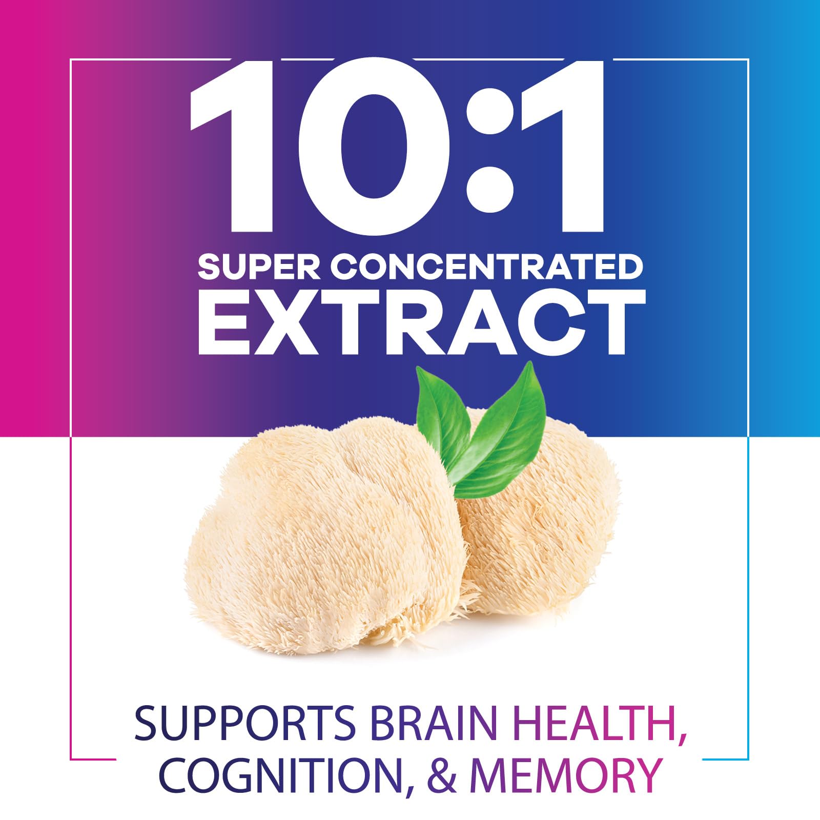 memory boosting mushroom capsules