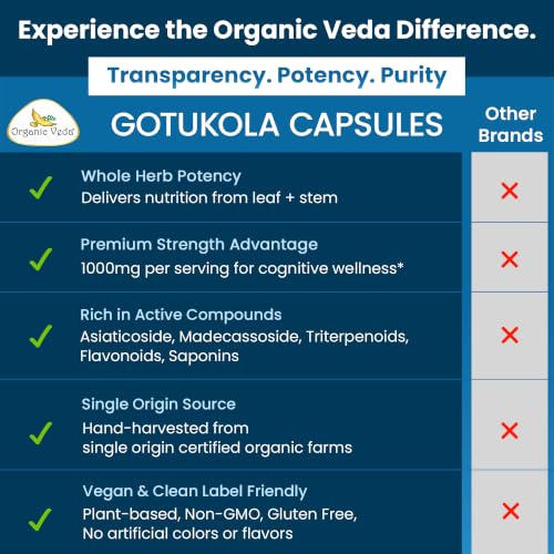 Memory boosting vegan supplements