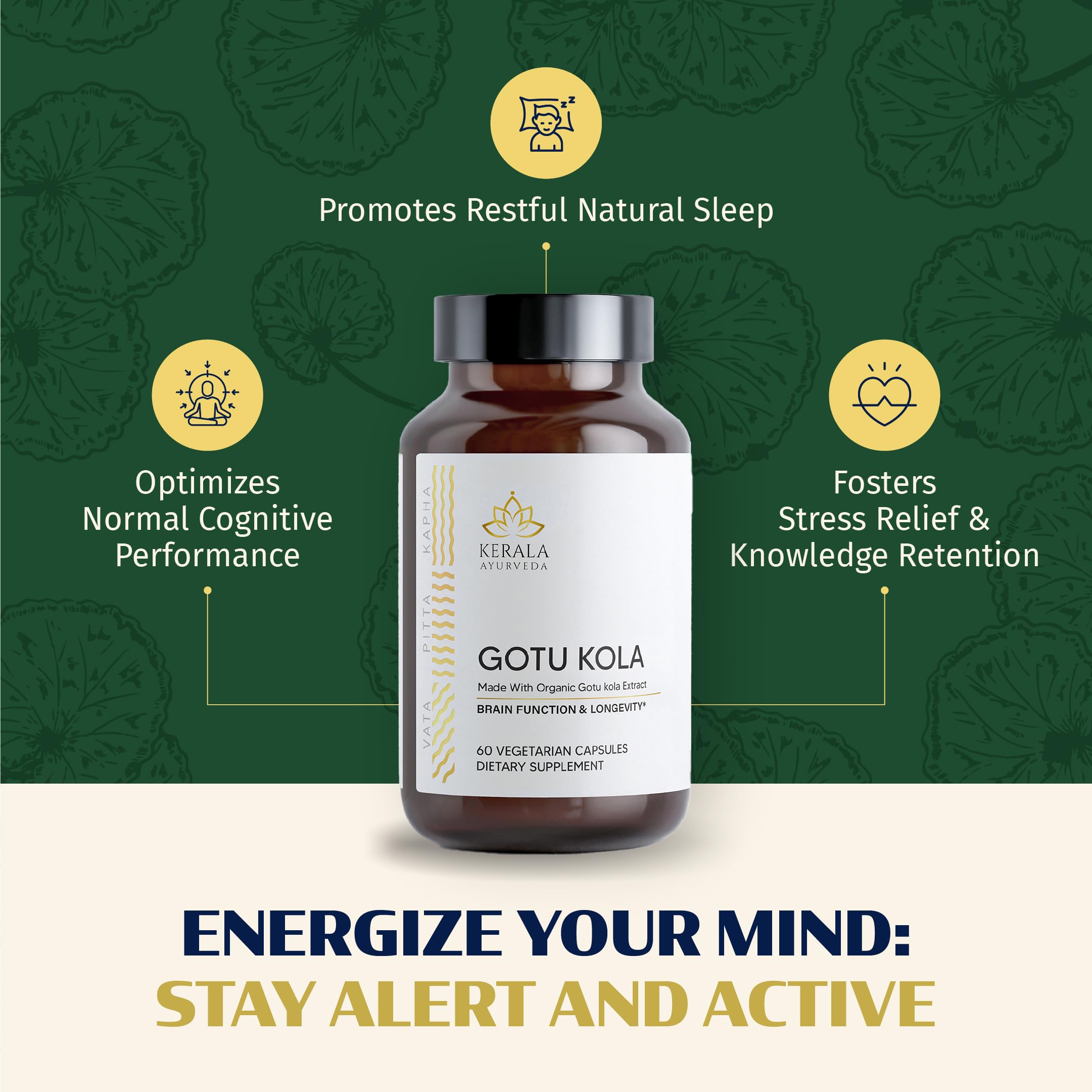 memory boosting vitamin & mineral blend