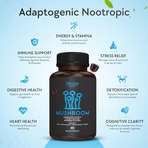 Memory enhancement from mushroom gummies