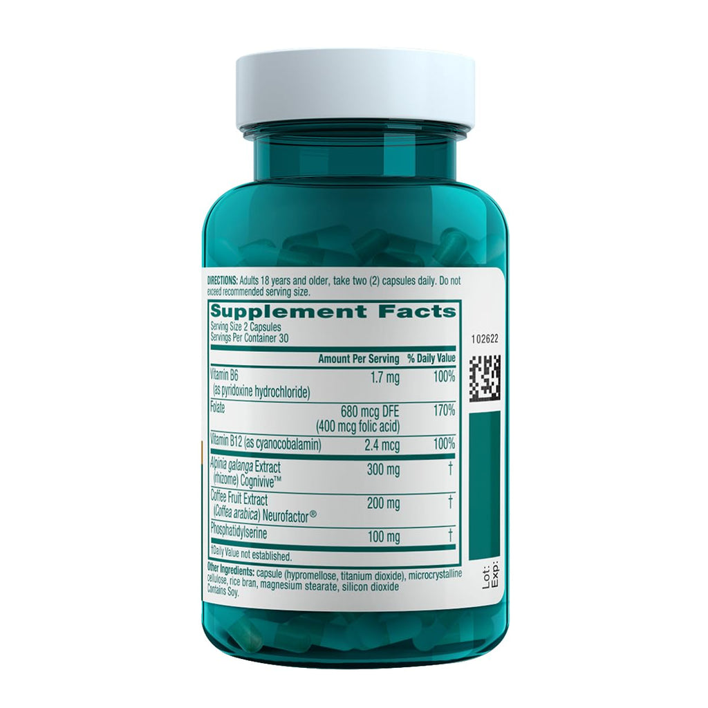 memory enhancement nootropic supplement