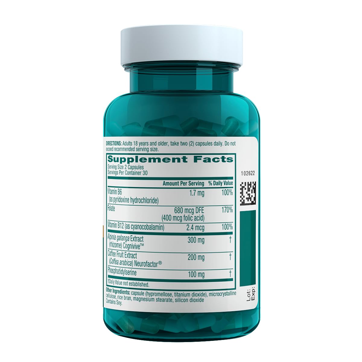 memory enhancement nootropic supplement