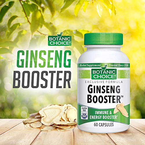memory enhancement with ginseng