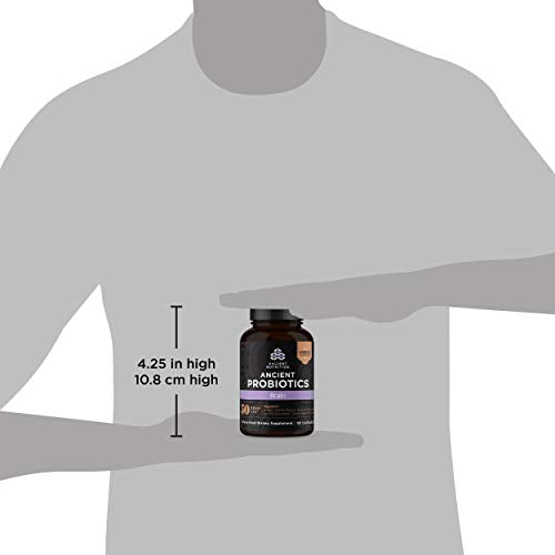 memory enhancement with herbal ingredients