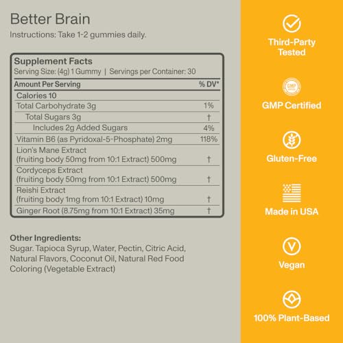 memory enhancement with mushroom extract