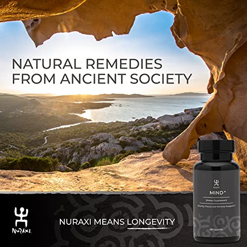 memory enhancement with Nuraxi Mind