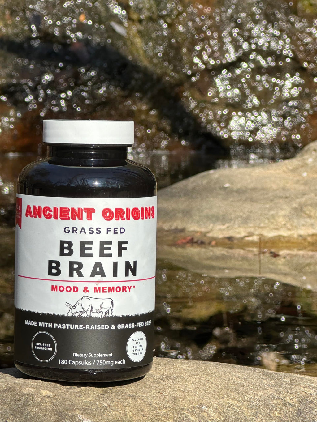Memory health with beef liver
