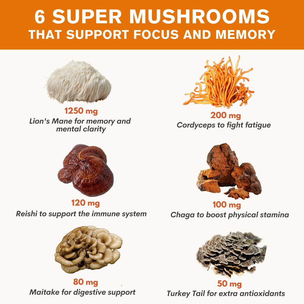 Memory improvement with Lion's Mane mushrooms