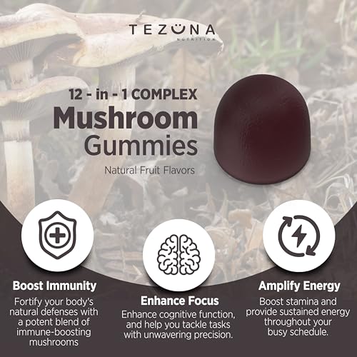Memory improvement with mushroom complex