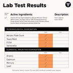 memory supplements for kids' learning