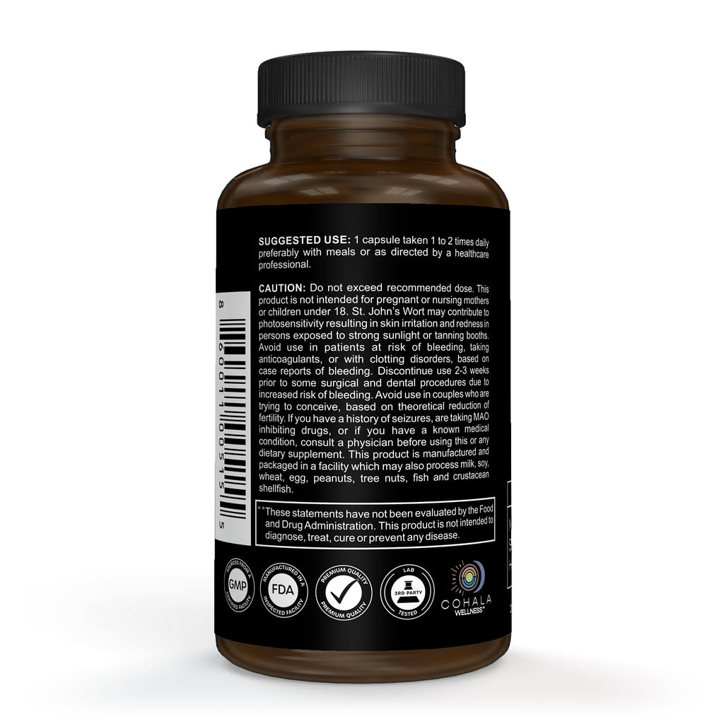 memory support ginkgo biloba capsules