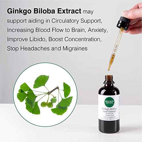memory support ginkgo biloba extract