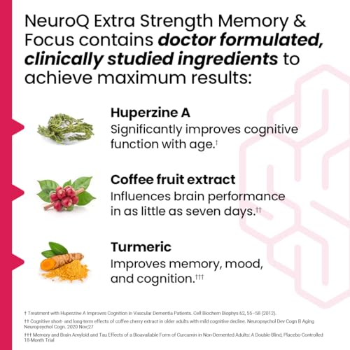 memory support ginkgo biloba tablets