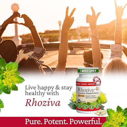memory support Rhodiola Rosea capsules