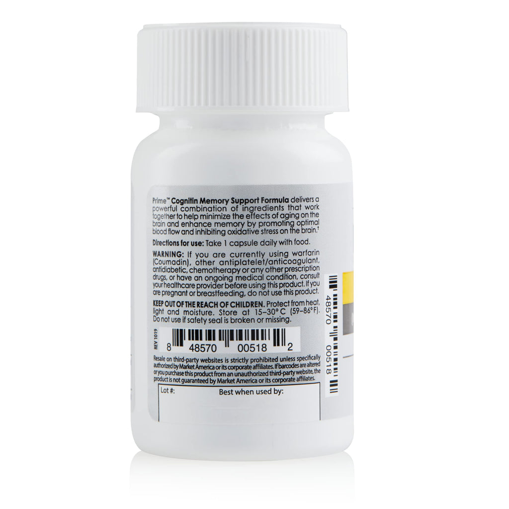 memory support supplements