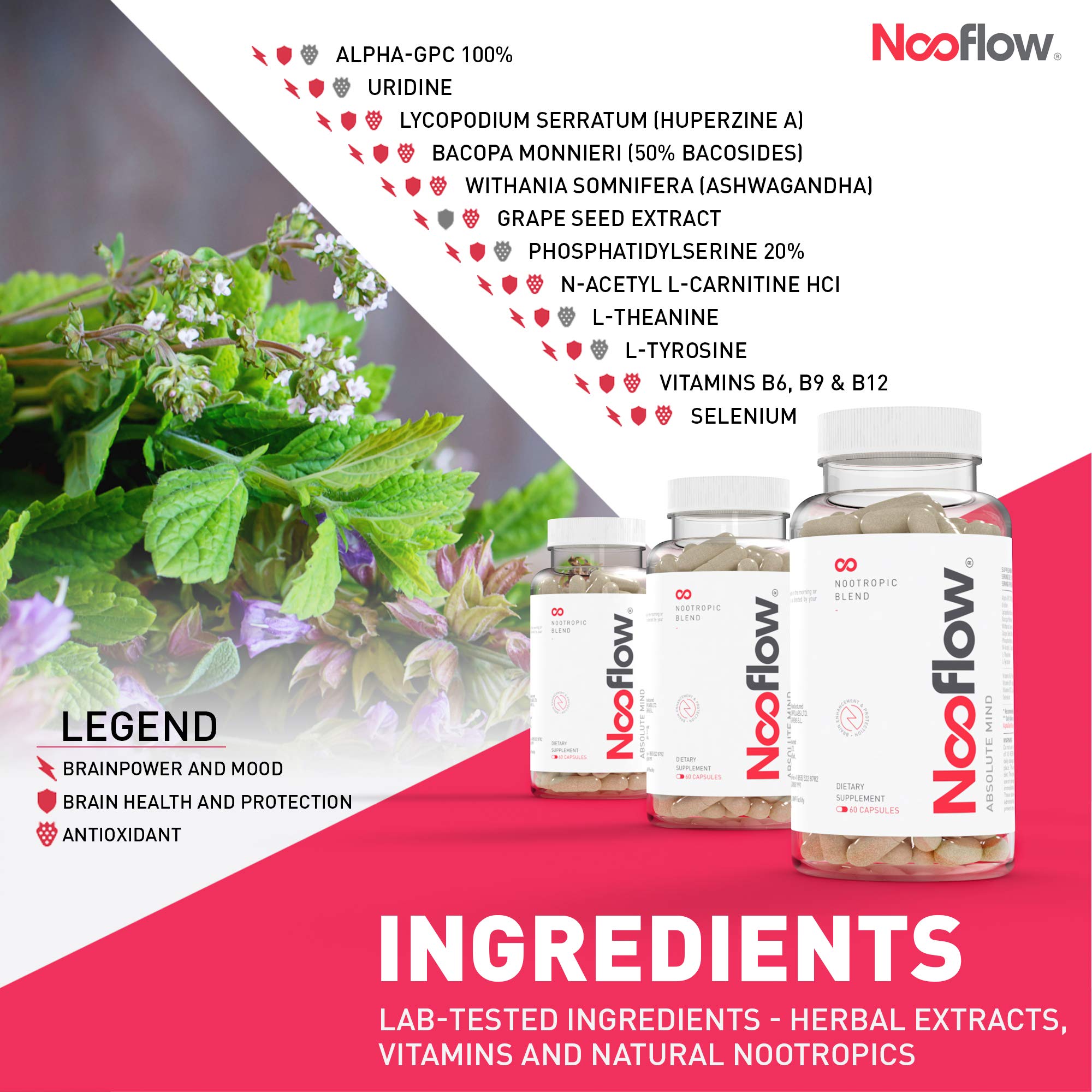 Memory support with 14 ingredients