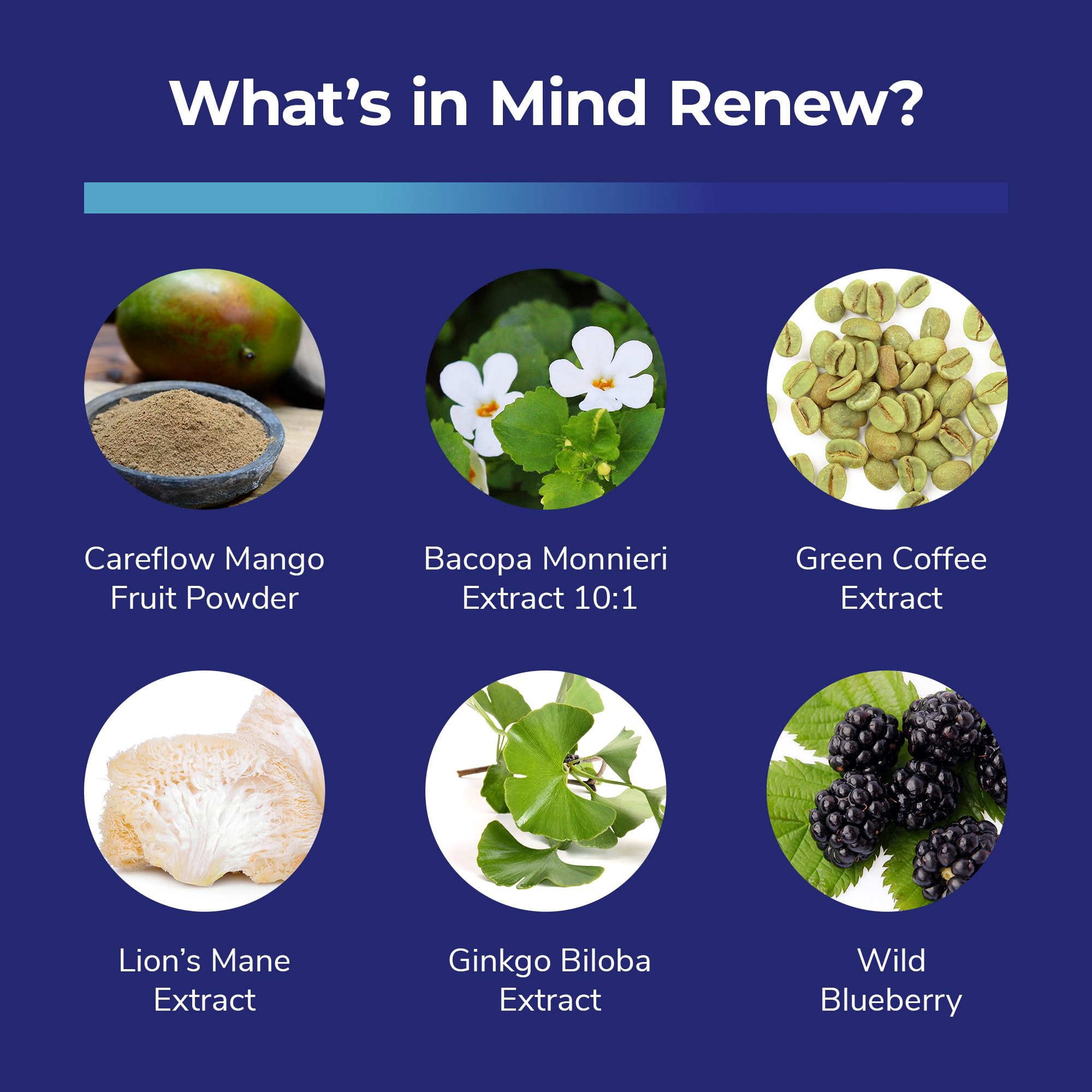 memory support with ginkgo biloba