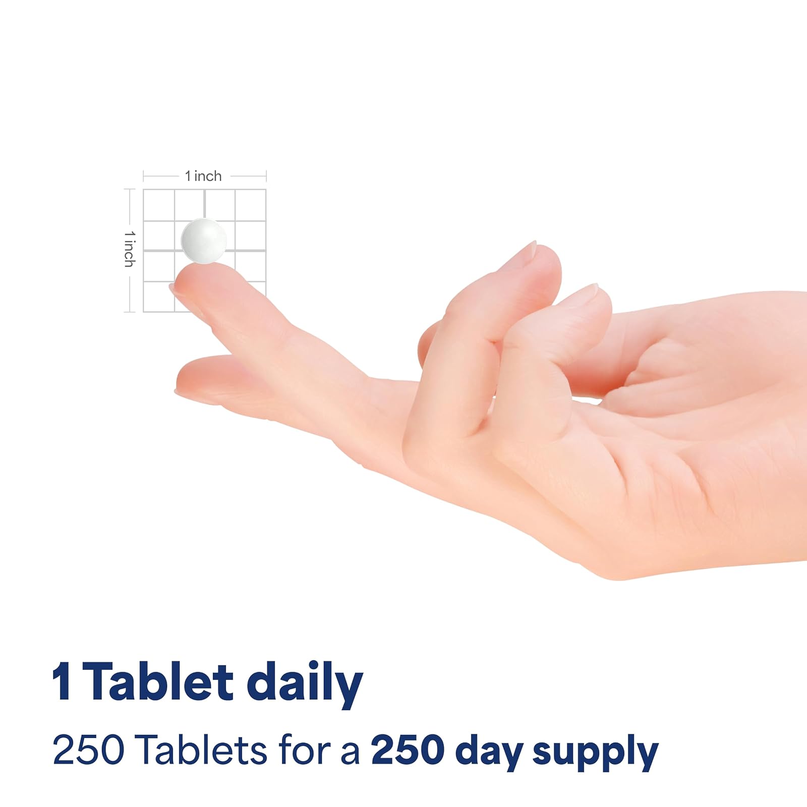 Men's daily probiotic supplement