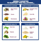 men's health multivitamin capsules