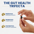 men's health probiotic supplement