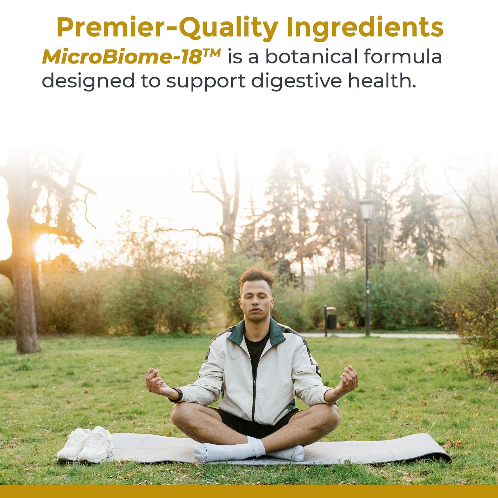 men's health probiotics for gut balance
