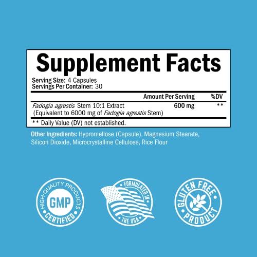Men's health support with Fadogia Agrestis