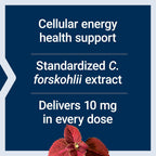 men's multivitamin featuring Forskolin extract