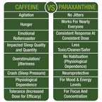 men's multivitamin for active lifestyles