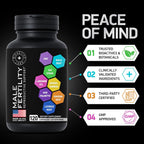 men's multivitamin for reproductive health
