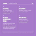 men's multivitamin for vitality and energy