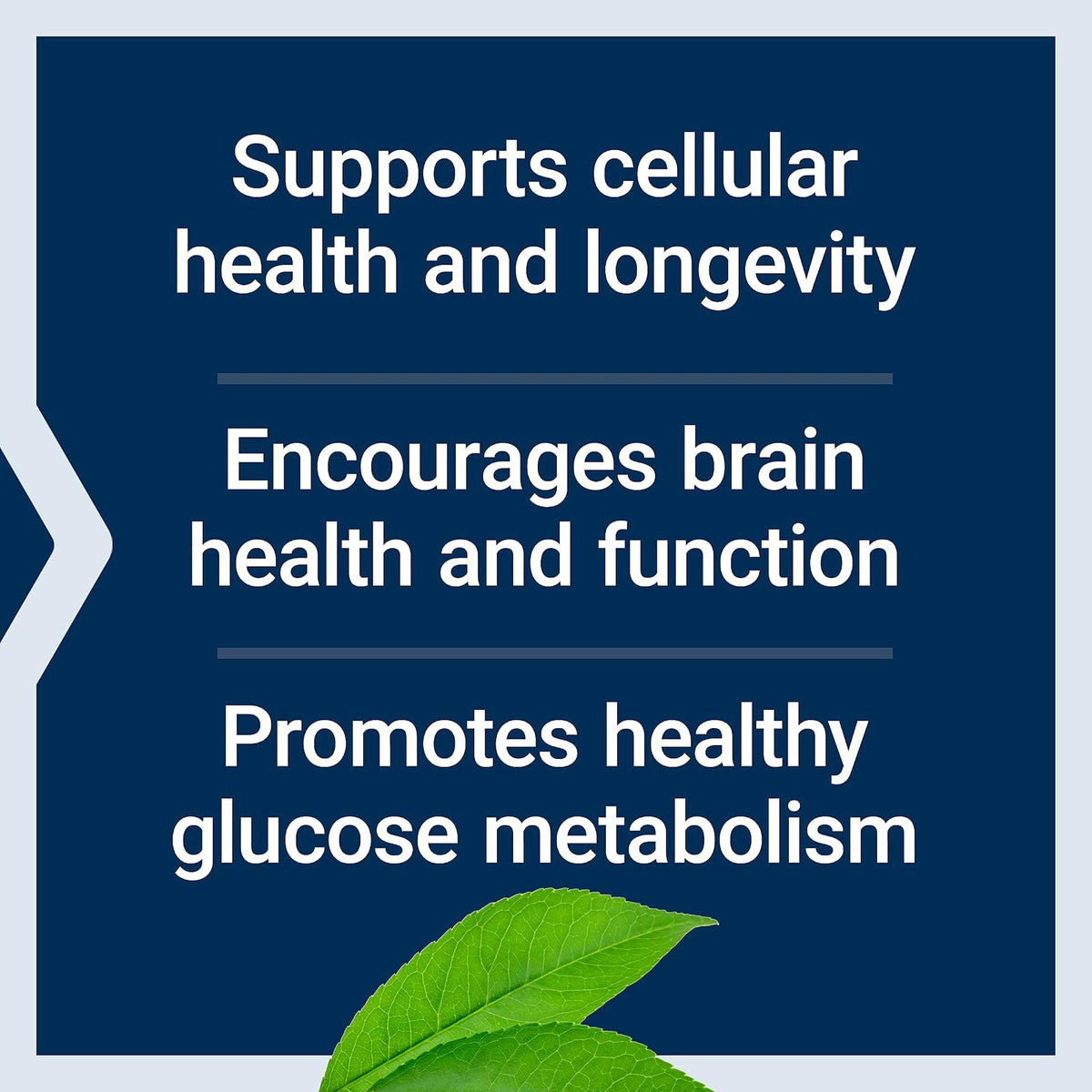 Men's multivitamin with Bio-Fisetin benefits
