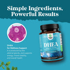 Men's multivitamin with DHEA support